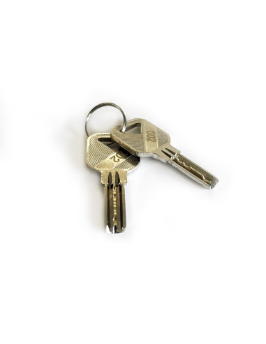 BARILLET POUR FERMETURES T-LOCK RÉF. 00303 ET 50026 (FORME LUNE)